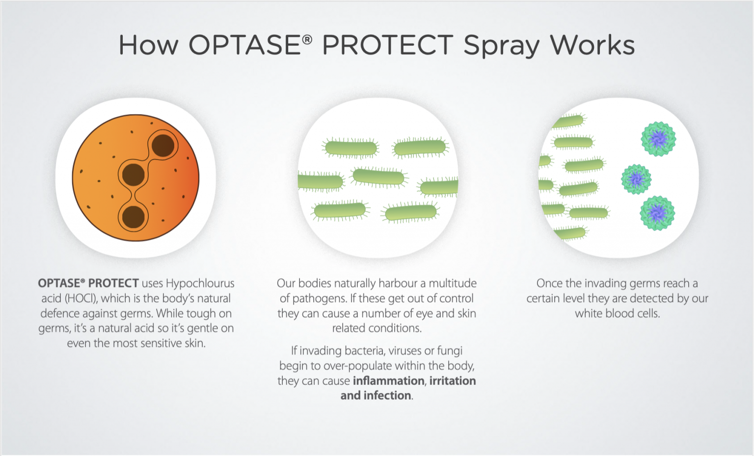 Optase Protect to disinfect the eyes and skin around your eyes